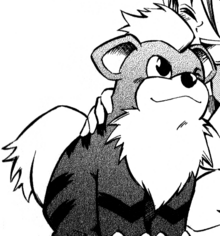 Koya - WikiDex, la enciclopedia Pokémon