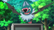 Swoobat - WikiDex, la enciclopedia Pokémon
