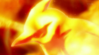 Talonflame de Ash - WikiDex, la enciclopedia Pokémon