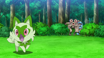 Categoría:Sprigatito - WikiDex, la enciclopedia Pokémon