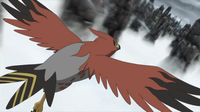 Talonflame de Ash - WikiDex, la enciclopedia Pokémon