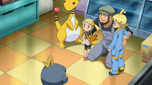 Meyer - WikiDex, la enciclopedia Pokémon