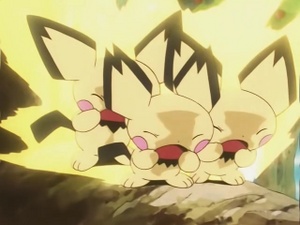 Charmaine - WikiDex, la enciclopedia Pokémon