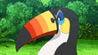 Toucannon - WikiDex, la enciclopedia Pokémon