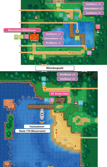 Categoría:Mapas de rutas de Hoenn de la sexta generación - WikiDex, la ...