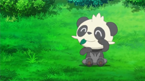 Pancham - WikiDex, la enciclopedia Pokémon