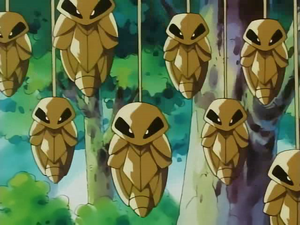 Kakuna - WikiDex, la enciclopedia Pokémon