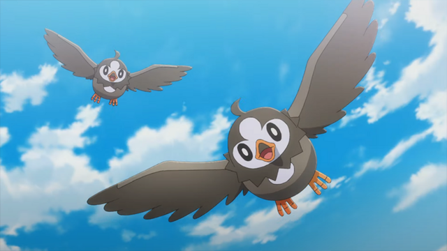 Archivo:EVO05 Starly.png - WikiDex, la enciclopedia Pokémon