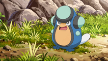 Palpitoad - WikiDex, la enciclopedia Pokémon