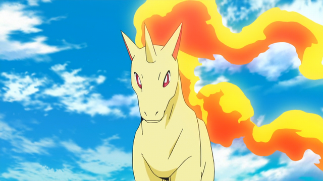 Archivo:EP985 Rapidash.png - WikiDex, la enciclopedia Pokémon
