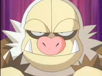 Categoría:Pokémon de Norman - WikiDex, la enciclopedia Pokémon