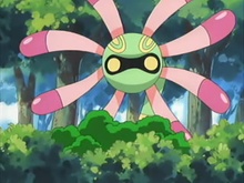 Cradily - WikiDex, la enciclopedia Pokémon