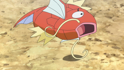 Karpy - WikiDex, la enciclopedia Pokémon