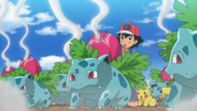 Ivysaur - WikiDex, la enciclopedia Pokémon