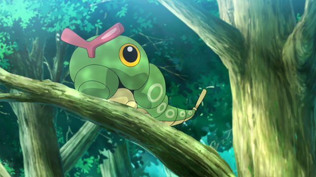 Archivo:EP1209 Caterpie.png - WikiDex, la enciclopedia Pokémon