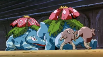 Categoría:Pokémon de Corey - WikiDex, la enciclopedia Pokémon