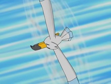 Wingull - WikiDex, la enciclopedia Pokémon