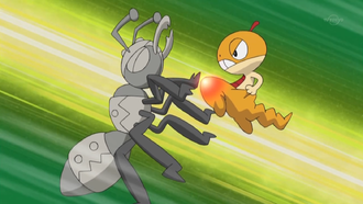 Scraggy de Ash - WikiDex, la enciclopedia Pokémon
