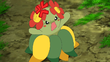Bellossom - WikiDex, la enciclopedia Pokémon