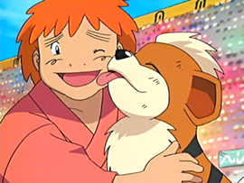 Categoría:Pokémon de Morrison - WikiDex, la enciclopedia Pokémon