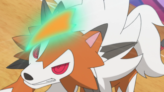 Lycanroc de Ash - WikiDex, la enciclopedia Pokémon