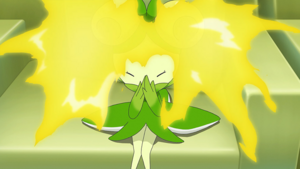 Dolliv - WikiDex, la enciclopedia Pokémon