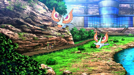 Masquerain - WikiDex, la enciclopedia Pokémon