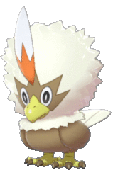 Rufflet - WikiDex, la enciclopedia Pokémon