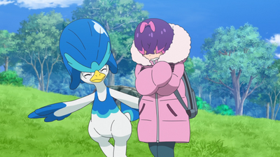 Doti - WikiDex, la enciclopedia Pokémon