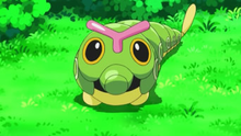 Caterpie - WikiDex, la enciclopedia Pokémon