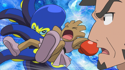 Maestro Karateka - WikiDex, la enciclopedia Pokémon