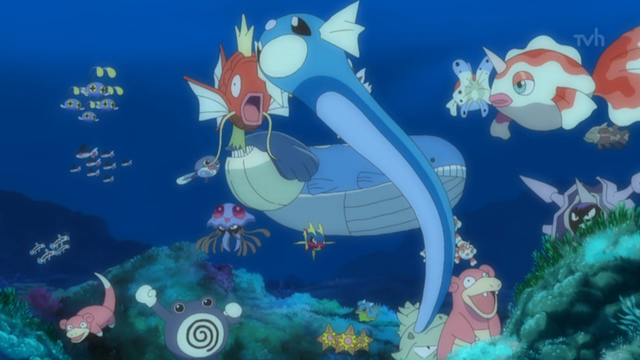 Archivo:EP1069 Pokémon del mar (2).png - WikiDex, la enciclopedia Pokémon