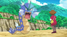 Gyarados - WikiDex, la enciclopedia Pokémon