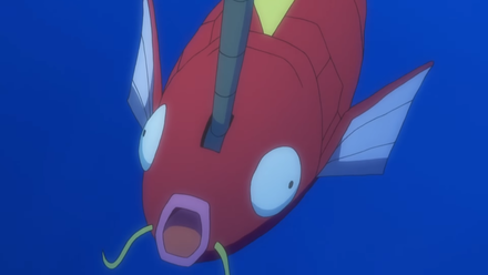 EP1097: ¡La Carrera Iceberg de Sinnoh! - WikiDex, la enciclopedia Pokémon