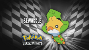EP678: ¡Sewaddle y Camus en el Bosque Azulejo!/¡Sewaddle y Burgh en ...