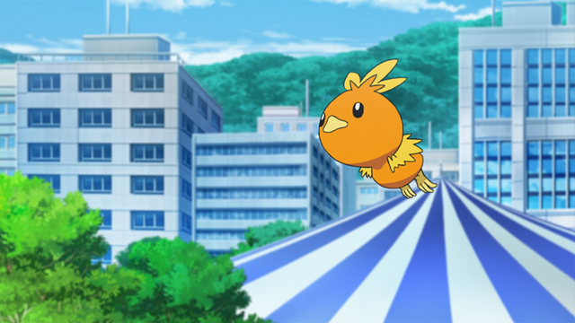 Archivo:EP1187 Torchic.png - WikiDex, la enciclopedia Pokémon