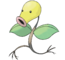 Bellsprout - WikiDex, la enciclopedia Pokémon