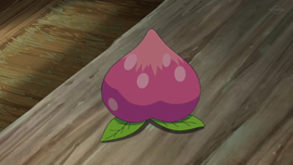 Categoría:EP1064 - WikiDex, la enciclopedia Pokémon