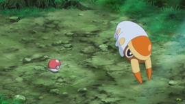 Categoría:Grubbin - WikiDex, la enciclopedia Pokémon