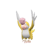 Categoría:Squawkabilly - WikiDex, la enciclopedia Pokémon