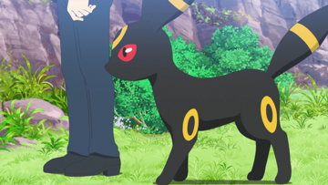 Categoría:Pokémon de Espinel/Espinela - WikiDex, la enciclopedia Pokémon