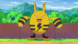 Elekid - WikiDex, la enciclopedia Pokémon