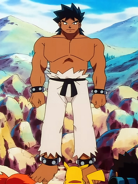 Categoría:Bruno (anime) - WikiDex, la enciclopedia Pokémon