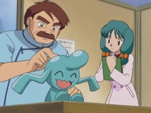 Wynaut - WikiDex, la enciclopedia Pokémon