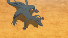 Salazzle - WikiDex, la enciclopedia Pokémon