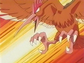 Fearow - WikiDex, la enciclopedia Pokémon