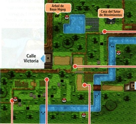Categoría:Mapas de rutas de Kalos - WikiDex, la enciclopedia Pokémon