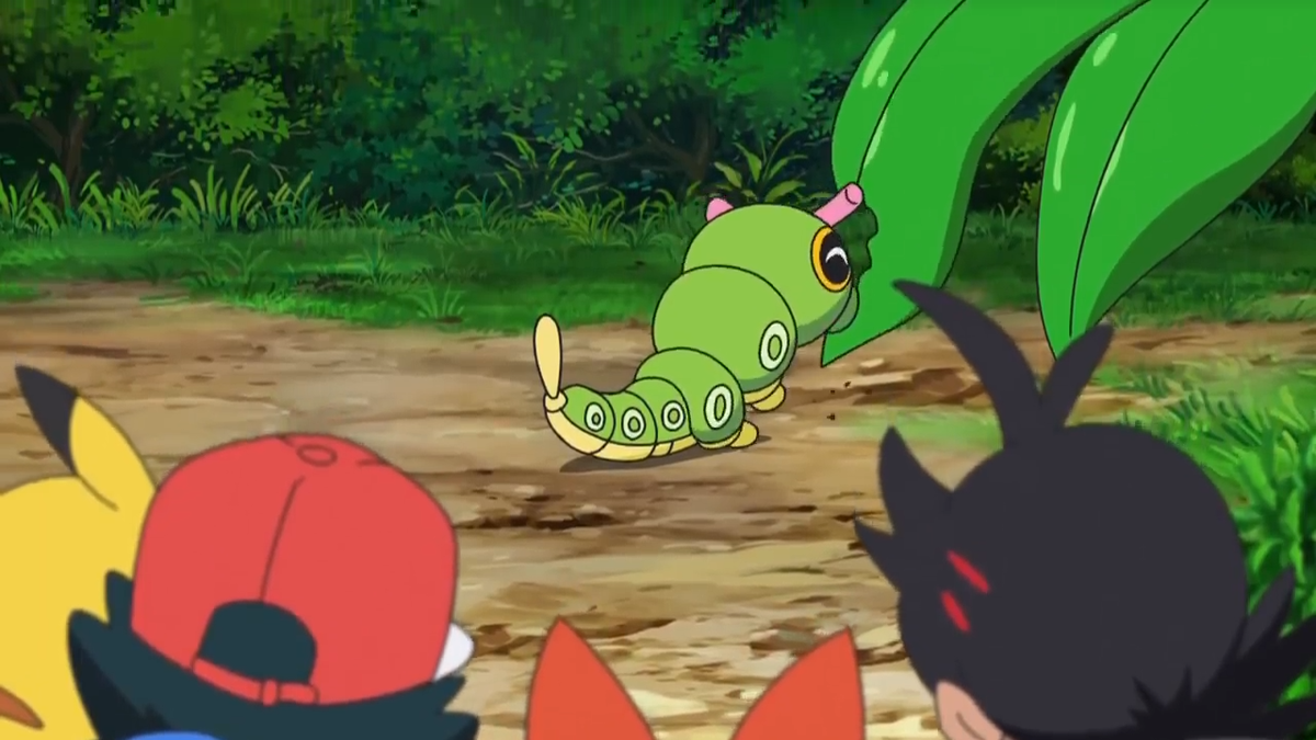 Archivo:EP1095 Caterpie.png - WikiDex, la enciclopedia Pokémon