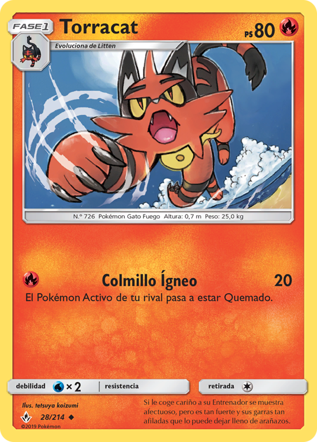 Torracat (Vínculos Indestructibles TCG) - WikiDex, la enciclopedia Pokémon