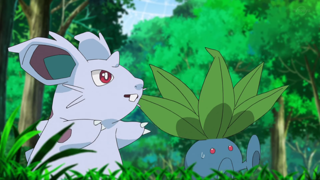 Archivo:EP1112 Nidoran♀ y Oddish.png - WikiDex, la enciclopedia Pokémon
